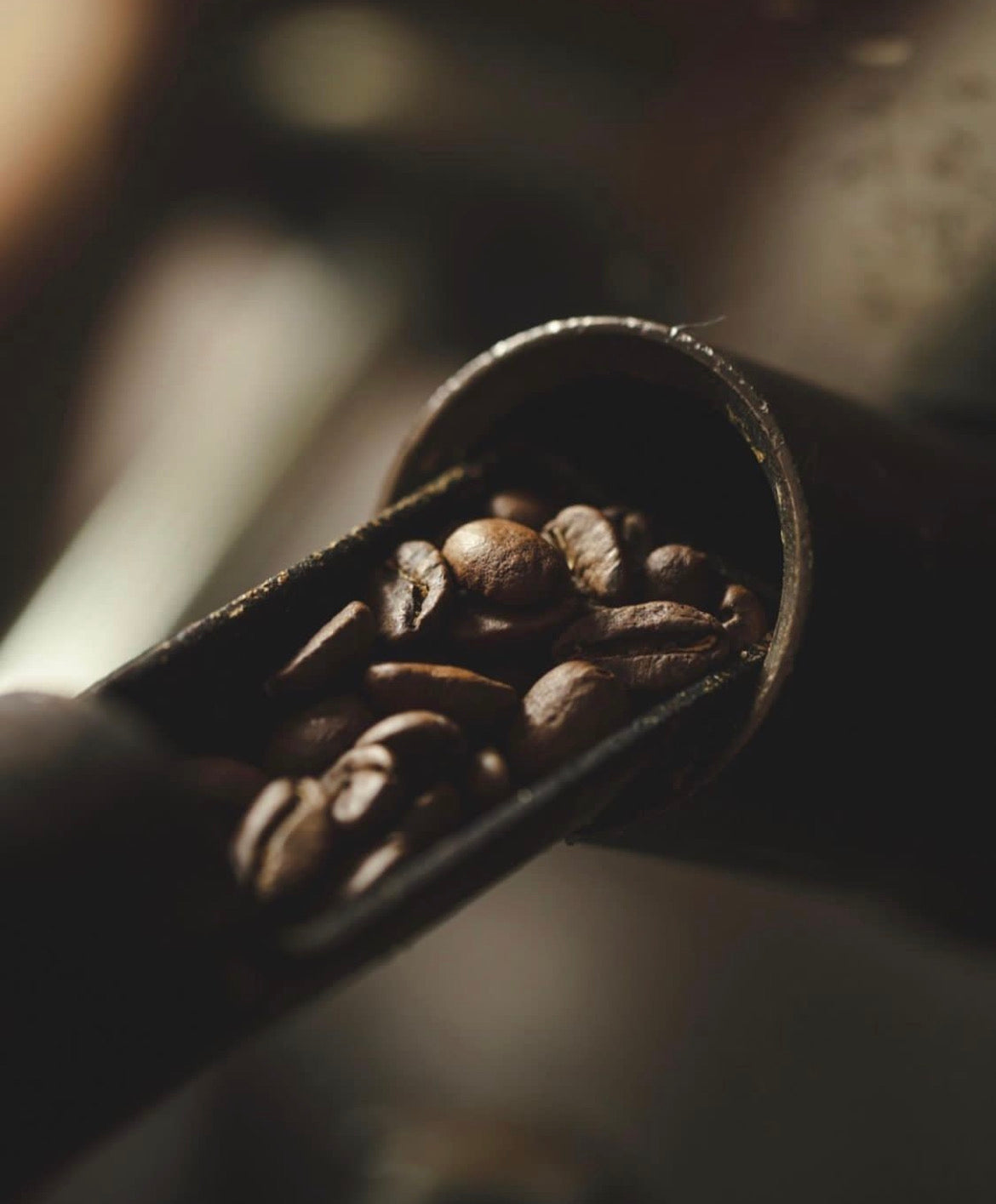 Whole Beans – 1930 Coffee Company